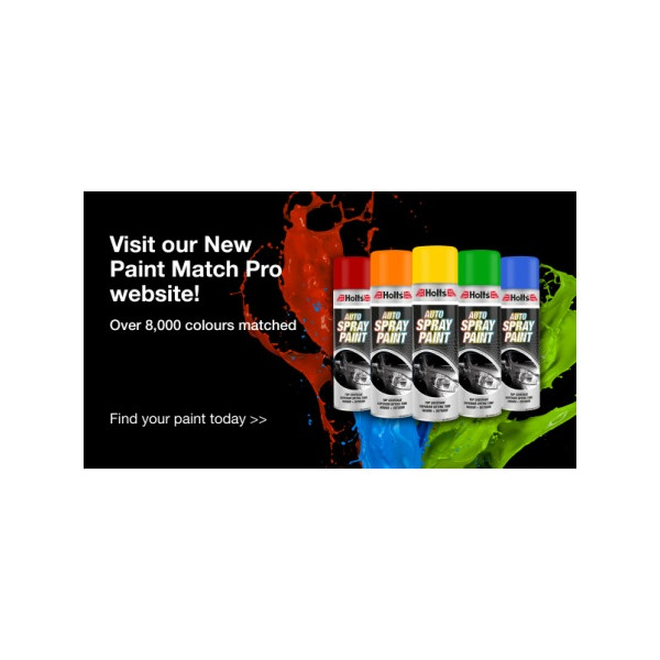 Holts HGR01 Paint Match Pro Aerosol Green 300ml